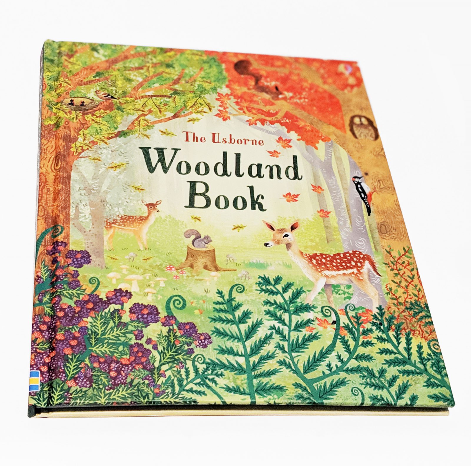 The Usborne Woodland Book – Nat Hues Illustration