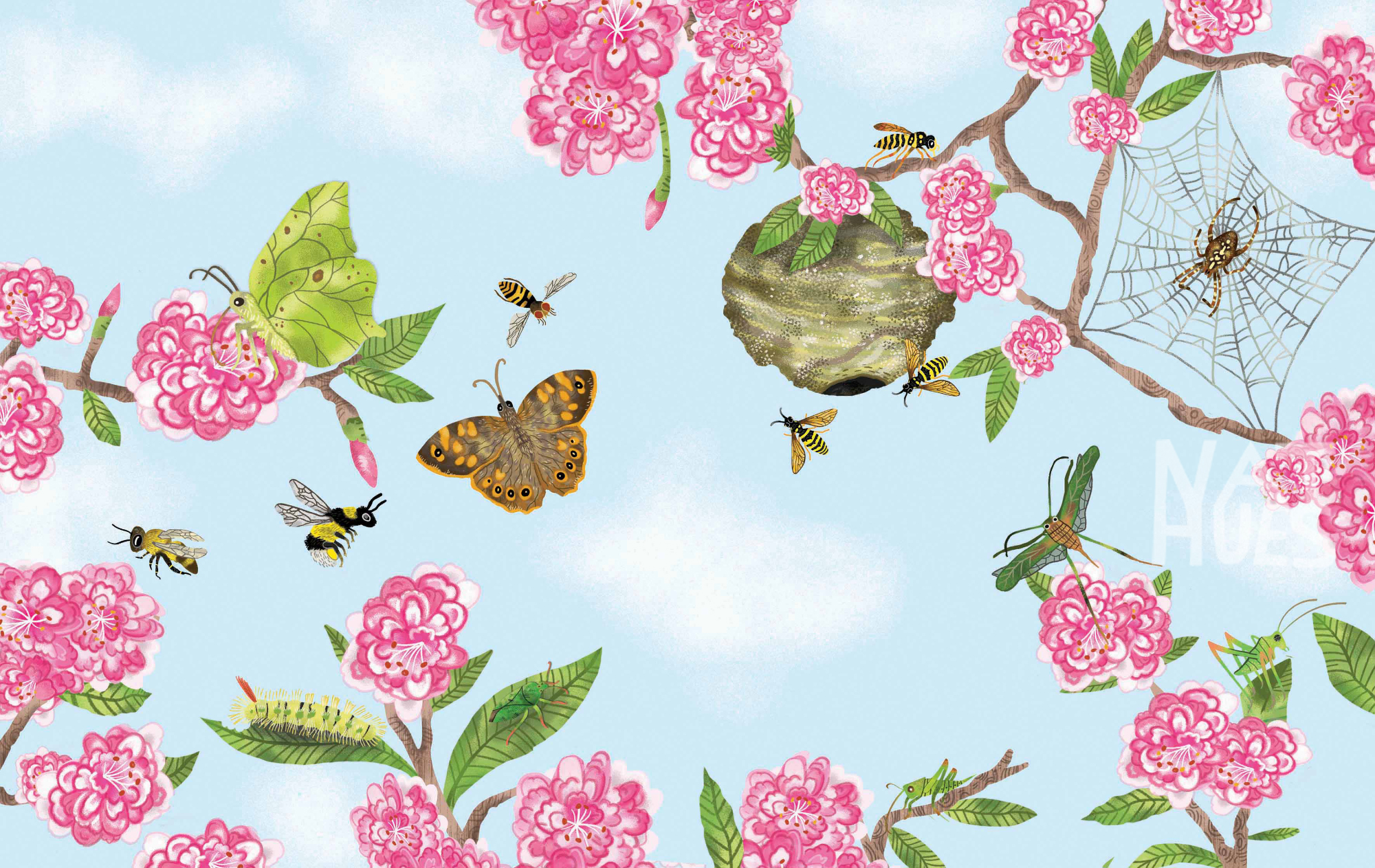 The Usborne Woodland Book – Nat Hues Illustration